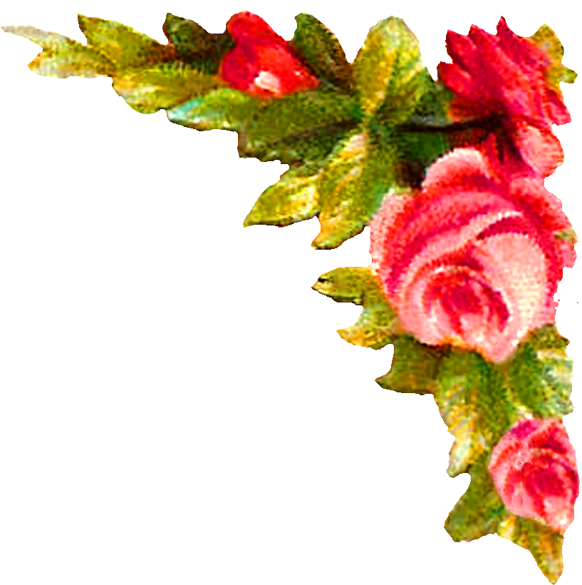 Digital Rose Corner Design Printable Flower Clip Art - Digital Rose ...