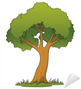 Canopy Tree Cartoon - (400x400) Png Clipart Download