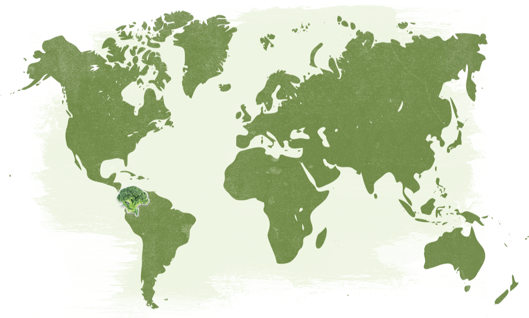 Map Organic Pesticide Free Broccoli Florets Naturetouch - World Map ...