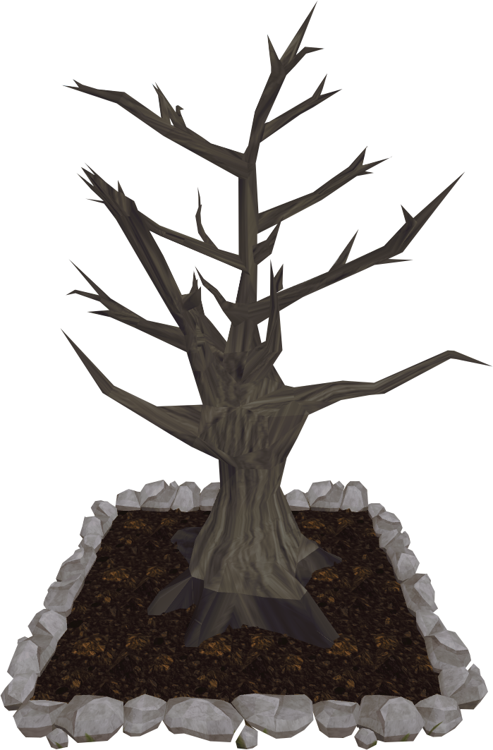 Dead Pot Plant Png - (699x1063) Png Clipart Download