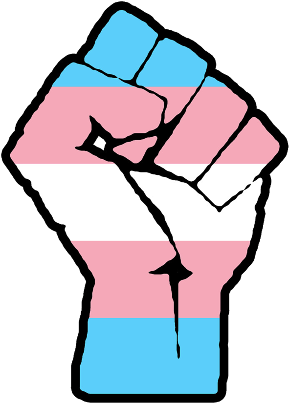 Transgender Flag - (853x853) Png Clipart Download