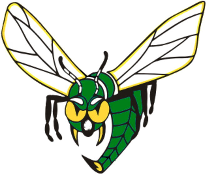 E - Edina High School Hornet - (720x720) Png Clipart Download