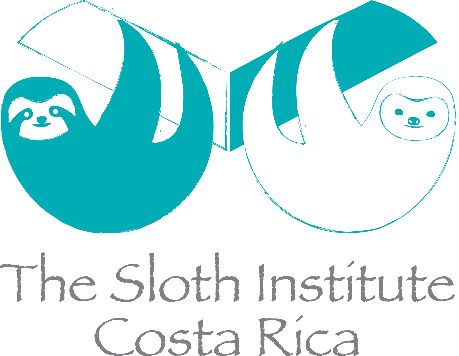 Sloth Institute Costa Rica - (1546x1199) Png Clipart Download