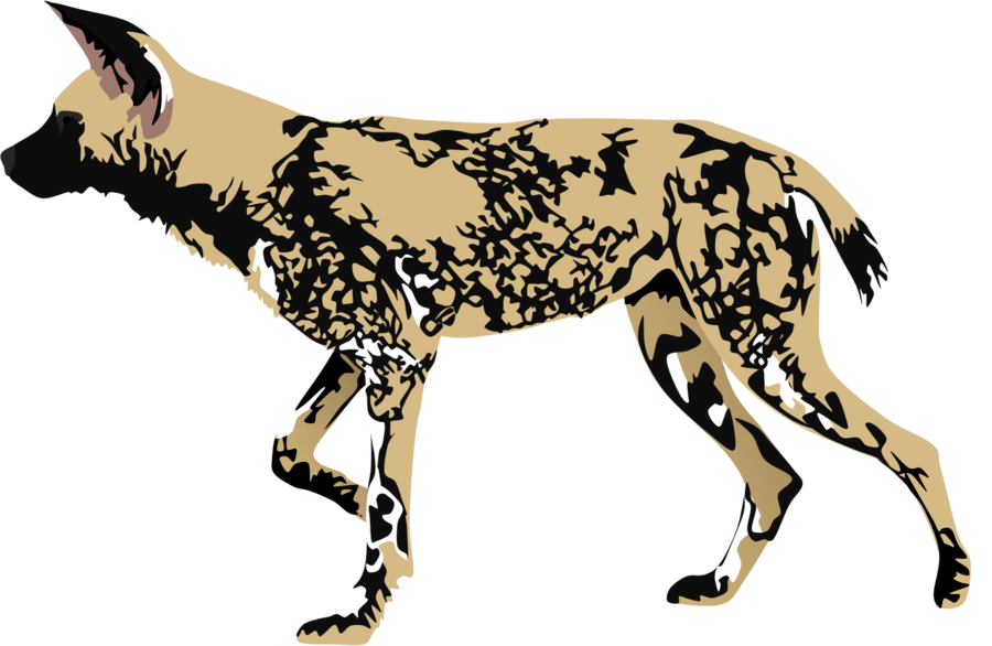 African Wild Dog Clipart - African Wild Dog Pattern - (900x586) Png ...