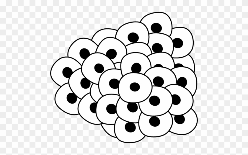 Frog Eggs Clip Art Image Animal Clipart - Life Cycle Of A Fish - Full ...