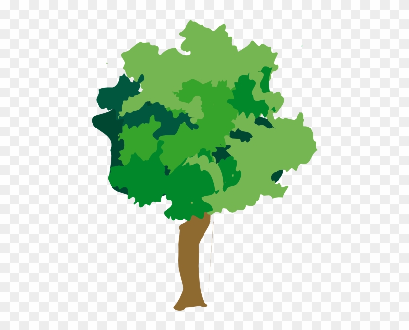 Rainforest Plant And Tree Clipart - Illustration - Full Size PNG ...