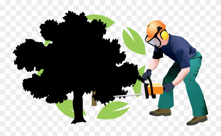 Houston Texas Tree Care - Houston Texas Tree Care - Full Size PNG ...