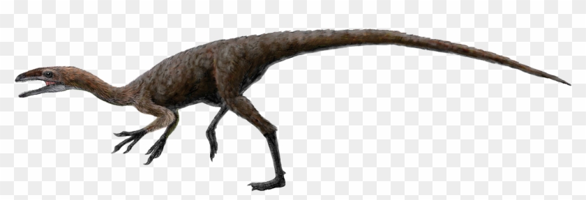 Dinosaur Clipart - Coelurus - Full Size PNG Clipart Images Download