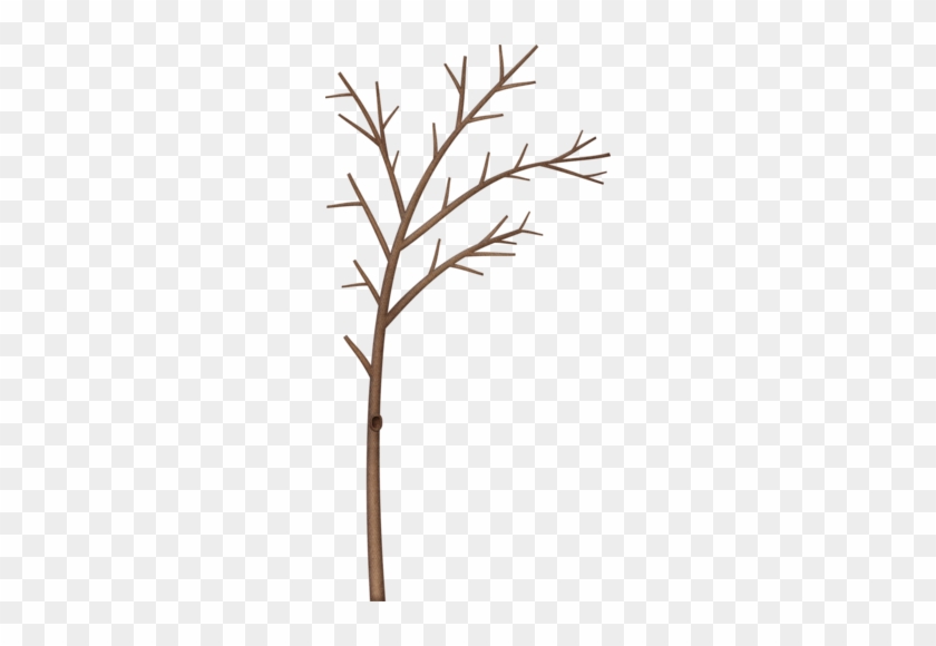 Bare Branch Tree - Bare Branch Tree - Full Size PNG Clipart Images Download