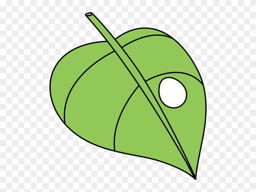 Butterfly Egg On A Leaf - Very Hungry Caterpillar Egg - Full Size PNG ...