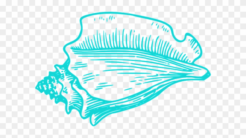 Teal Light Conch Shell Clip Art - Teal Seashell Clipart - Full Size PNG ...