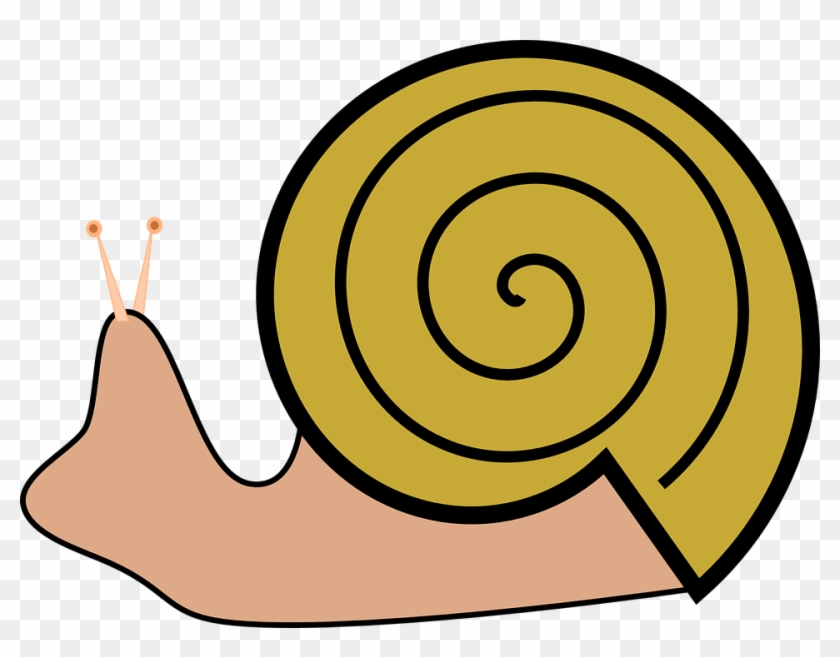 Snails Clipart - Full Size PNG Clipart Images Download