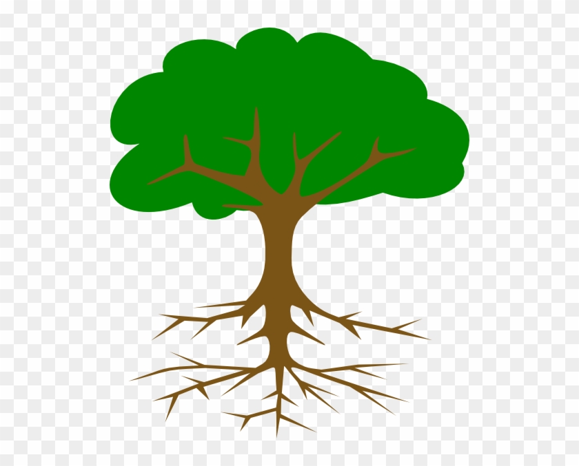 Treeroot22 Clip Art At Clker - Tree Clip Art - Full Size PNG Clipart ...