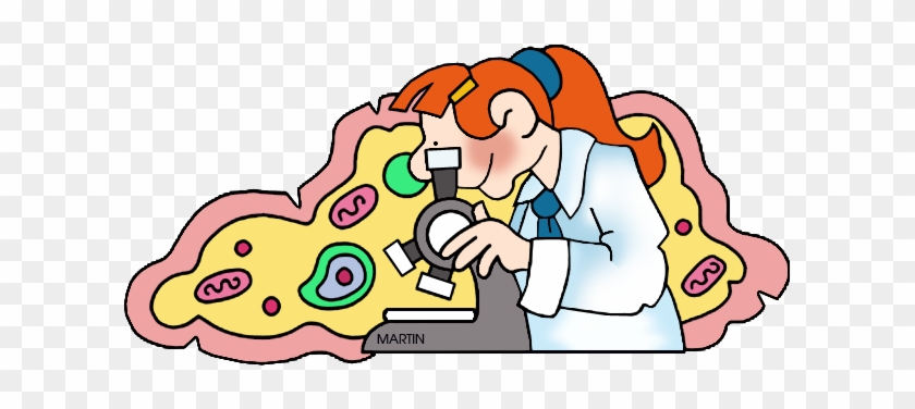 Cells - Cells Clipart - Full Size PNG Clipart Images Download