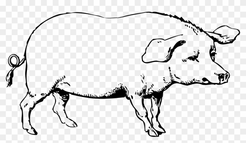 Pig Black And White - Full Size PNG Clipart Images Download