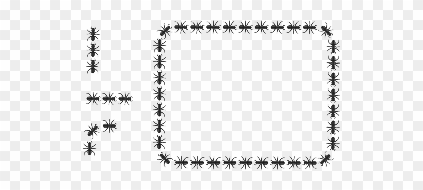 Ant Border Rectangle - Ant Border - Full Size PNG Clipart Images Download
