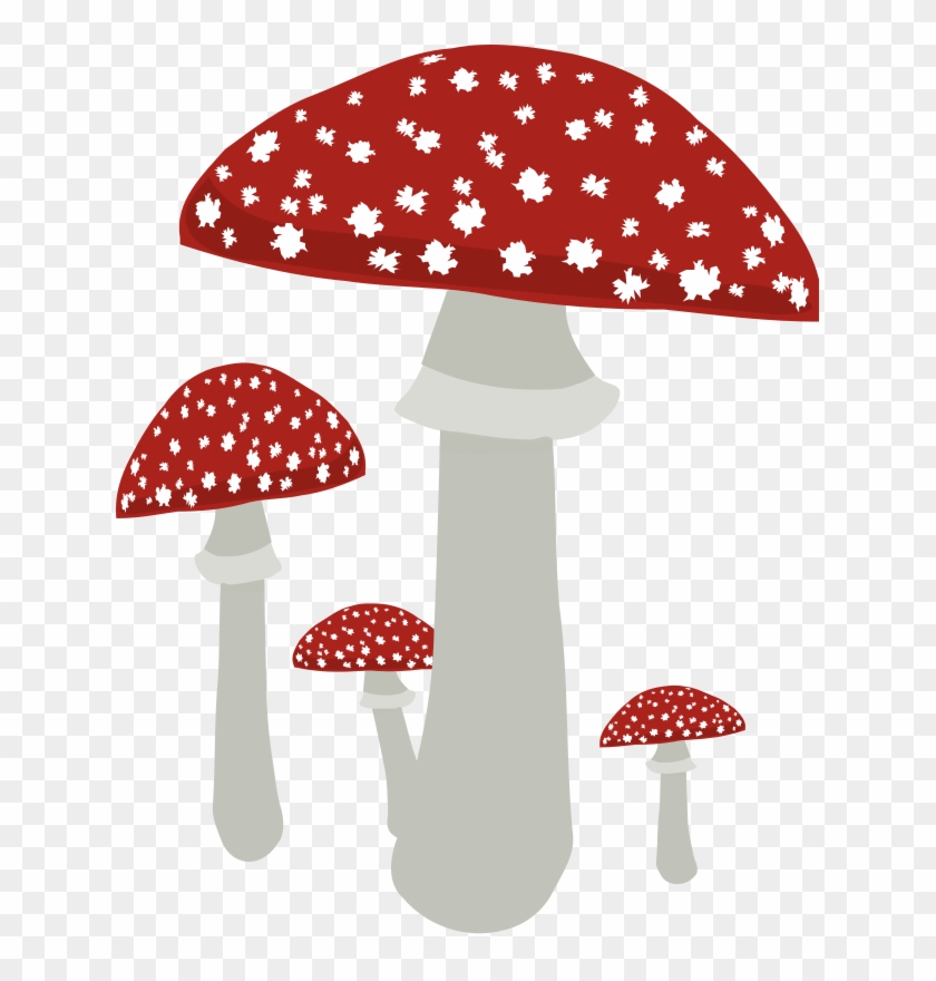 Free Group Of Mushrooms Clip Art - Fungi On No Background - Full Size ...