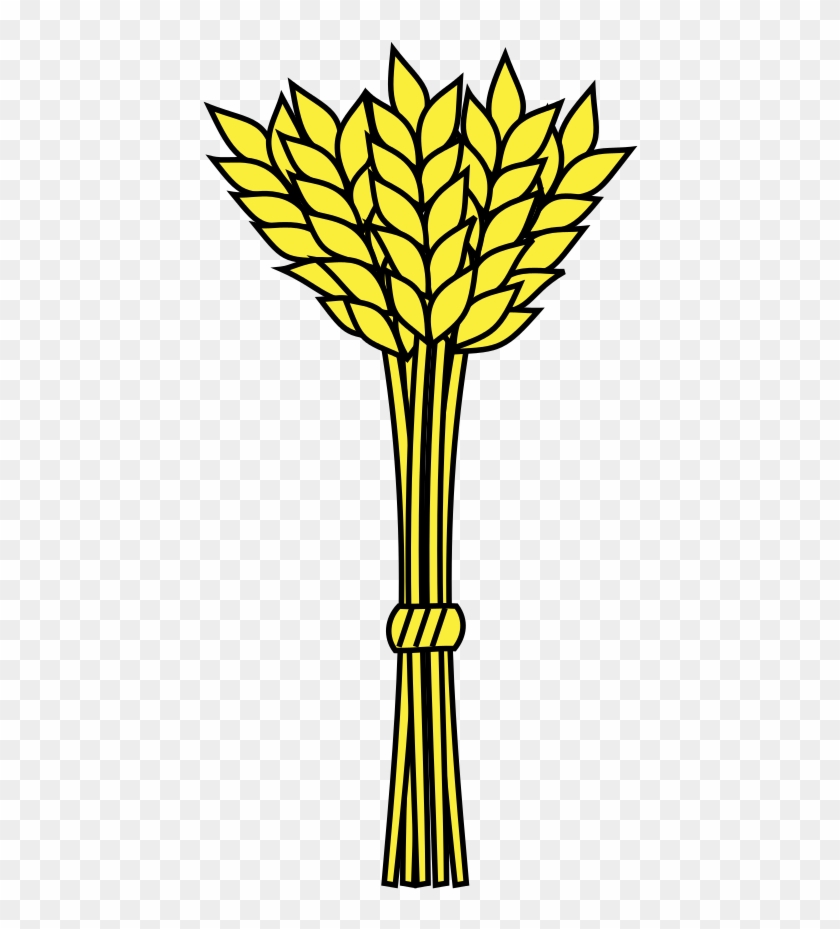 Gerbe Blé 5 Rameaux - Wheat Bundle Clip Art - Full Size PNG Clipart ...
