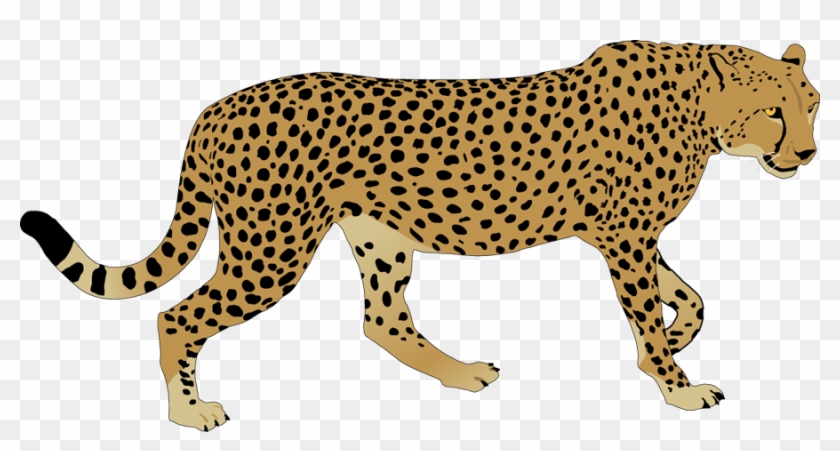 Cheetah Clip Art 18 Cliparts - Cheetah - Full Size PNG Clipart Images ...
