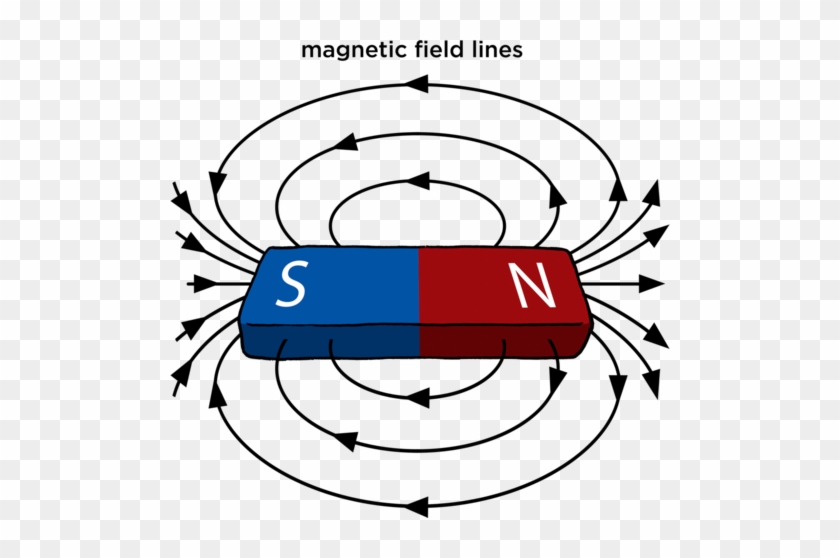 Labelled Diagram Of A Bar Magnet - Full Size PNG Clipart Images Download