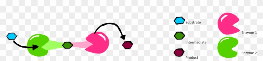 Direct Channeling Relies On The Formation Of Protein - Direct ...