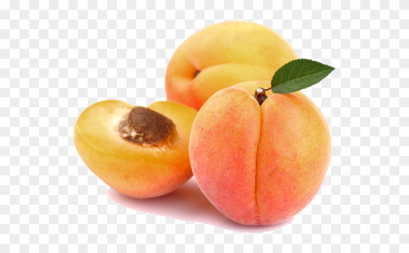 Apricot Display Resolution Clip Art - Apricot Display Resolution Clip ...