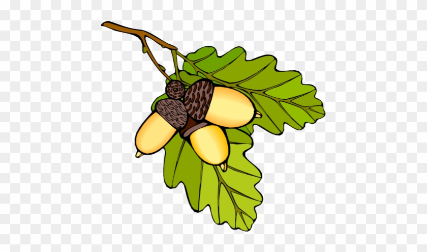 Eichenblatt Symbol - Free Transparent PNG Clipart Images Download