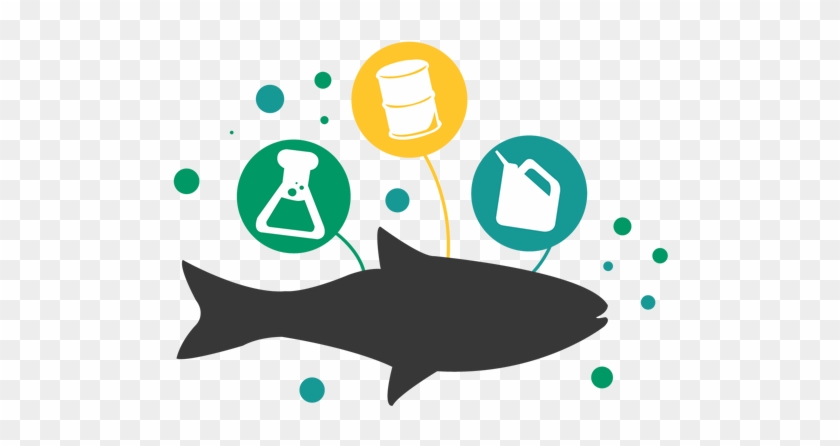 Microbead Toxin Exposure Graphic Sb-01 Cropped 600px - Icon - Full Size ...