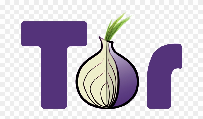 You Might Also Like - Onion Router - Full Size PNG Clipart Images Download