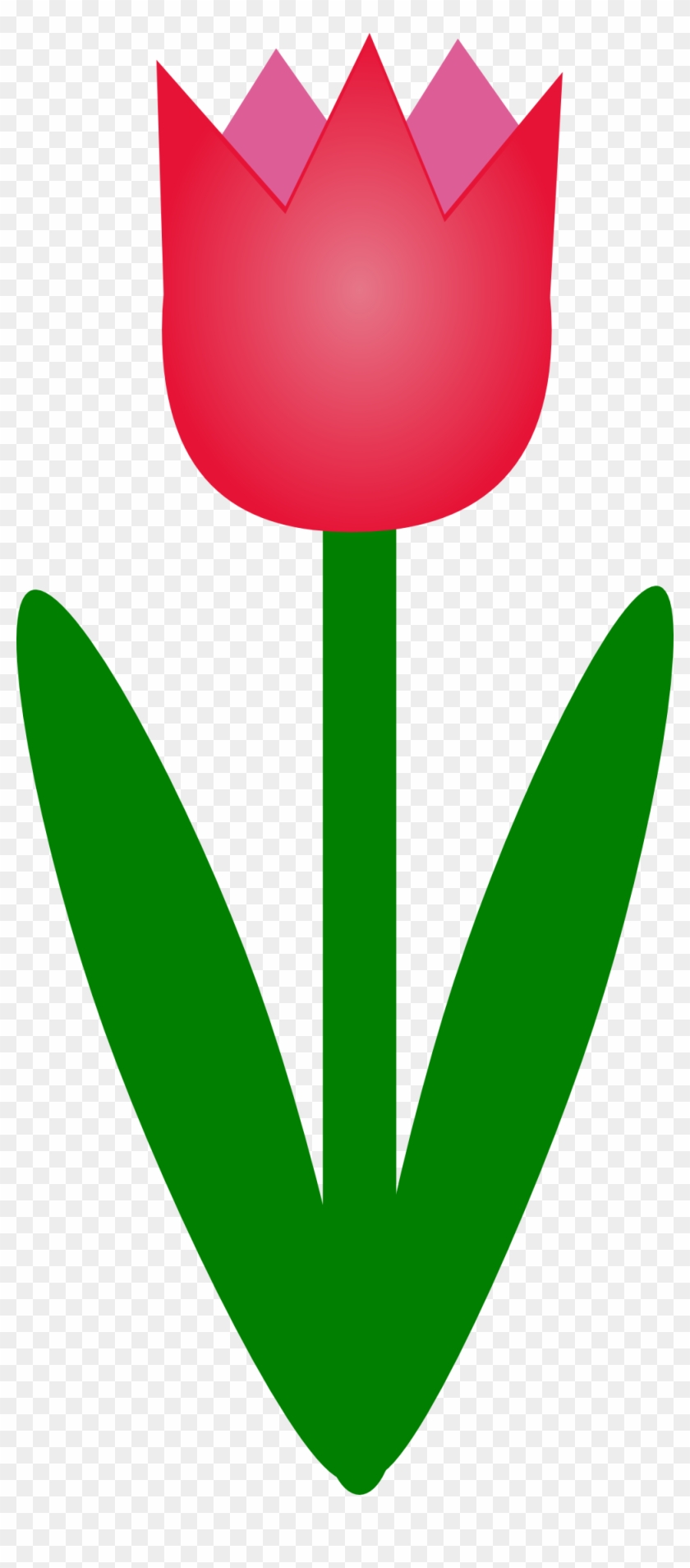 Tulip Flower Clip Art - Tulip Clipart - Full Size PNG Clipart Images ...