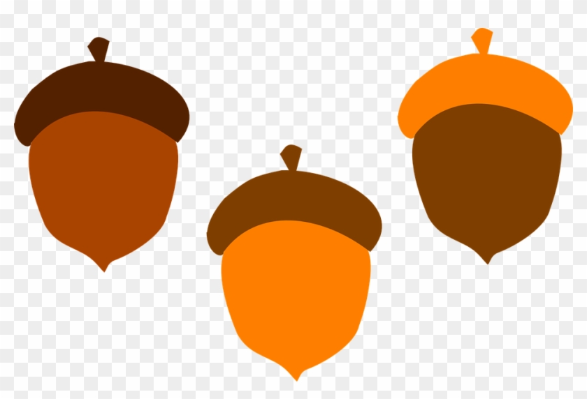 Acorn Brown Fall Food Tree Orange Squirrel - Fall Acorn Clip Art - Full ...