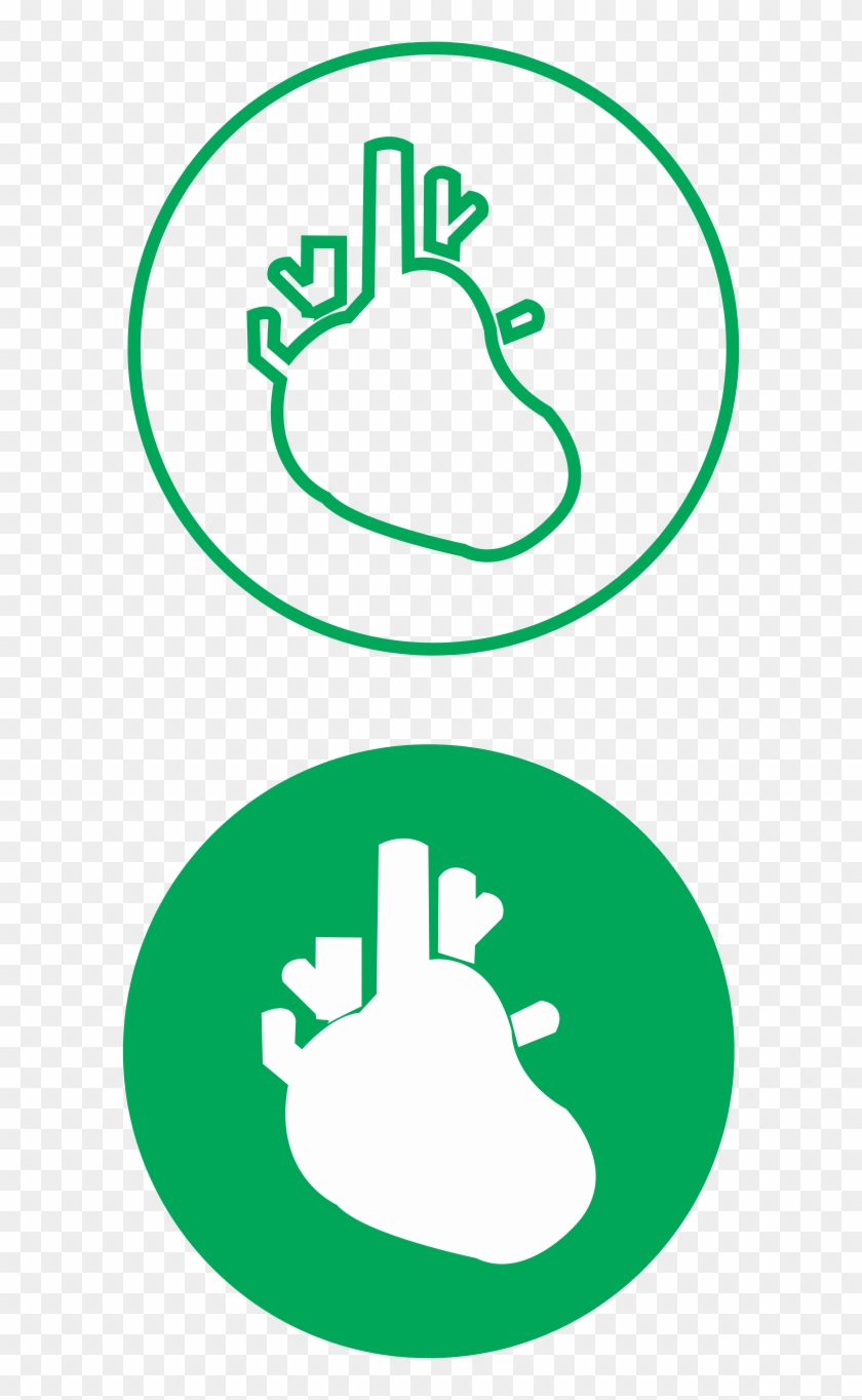 Cardiology - Cardiology - Full Size PNG Clipart Images Download