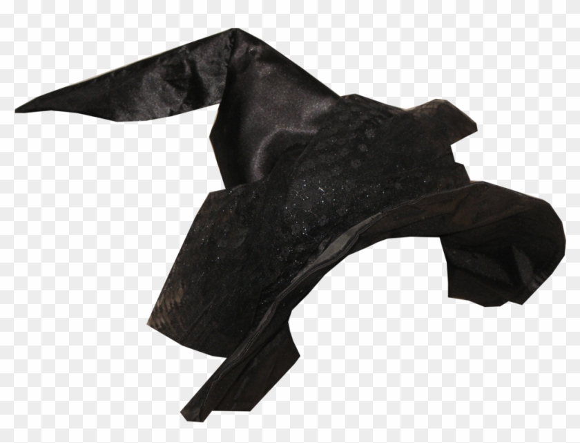 Witch's Hat Png By Lexivoneerie On Deviantart - Witch Hat Transparent ...