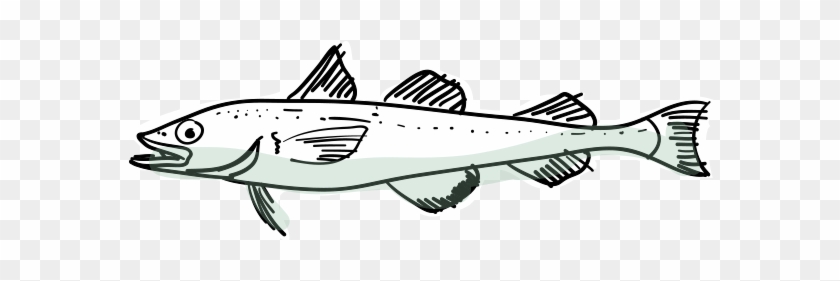 Pollock - Pollock - Free Transparent PNG Clipart Images Download