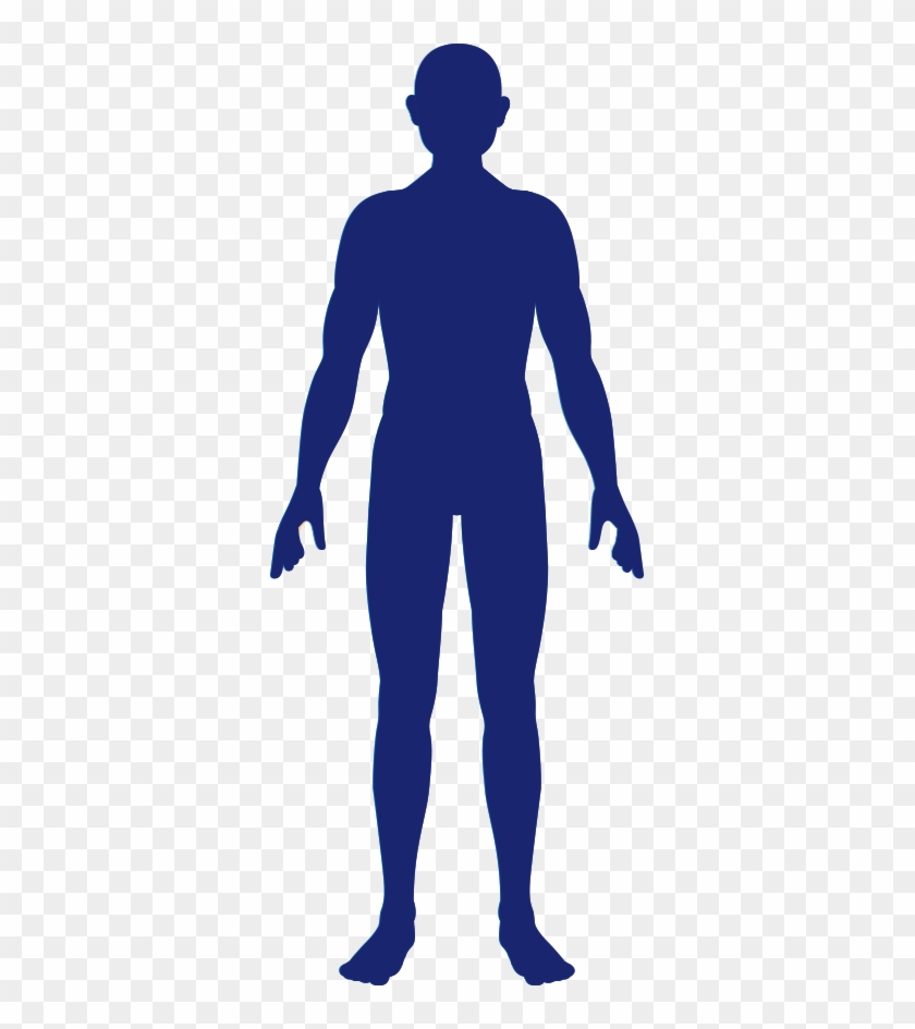 Conditions And Treatments - Human Body - Full Size PNG Clipart Images ...
