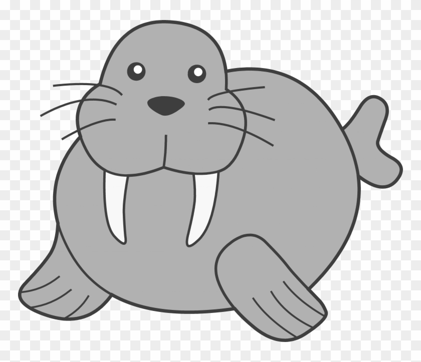 Walrus Clipart - Full Size PNG Clipart Images Download