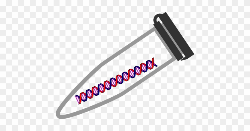 How Much Pcr Product Does One Get From A Typical Pcr - Pcr Tube Clipart ...