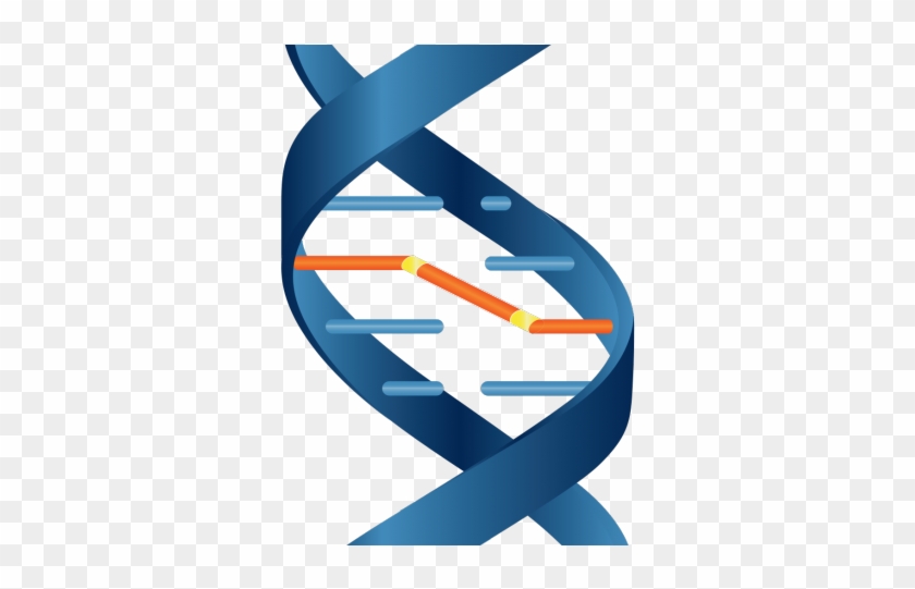 Controlled Reaction - Circulatory System - Full Size PNG Clipart Images ...