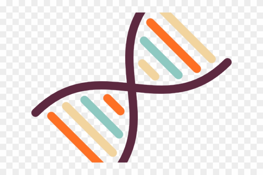 Dna Structure Clipart Clipart Transparent Background - Transparent ...
