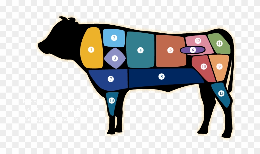 Beef Cuts And Features - Beef Cuts And Features - Full Size PNG Clipart ...