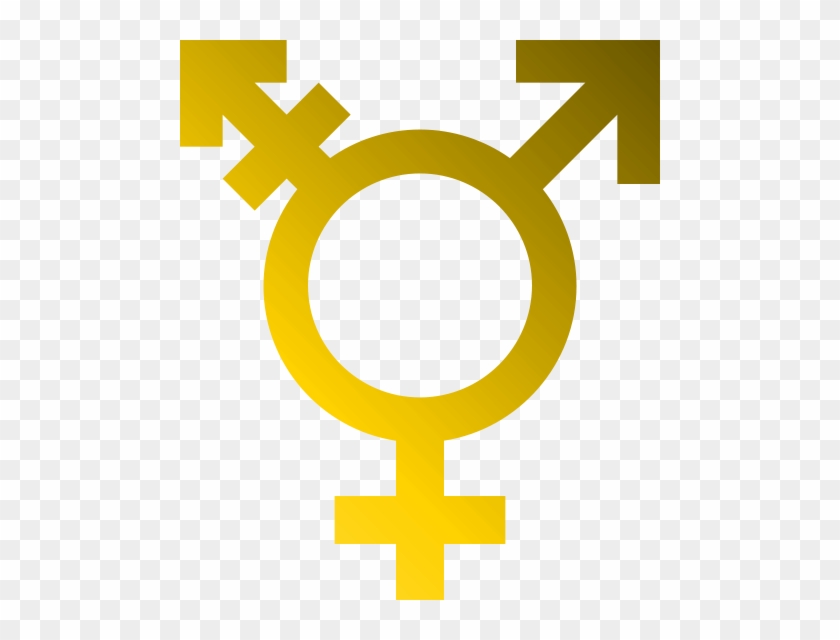 The Most Commonly, Universally Accepted Transgender - Transgender ...