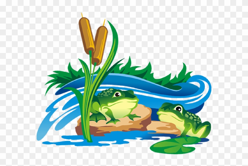Funny Frog Cartoon Animal Clip Art Images - Transparent Background ...