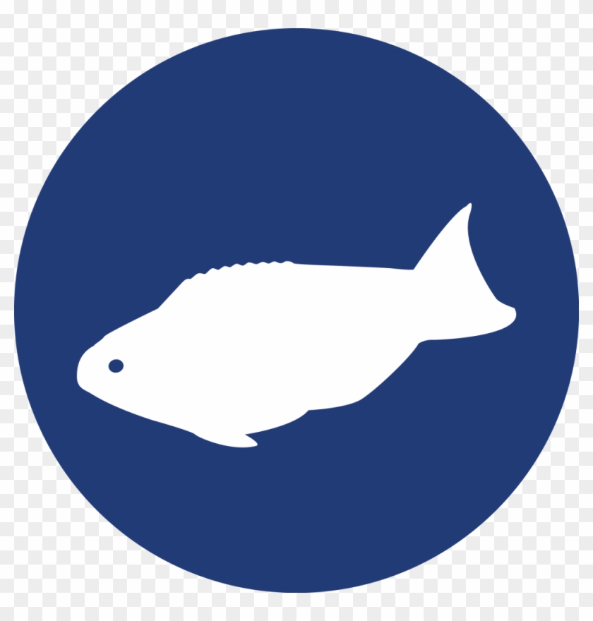 Zlien - Free Transparent PNG Clipart Images Download