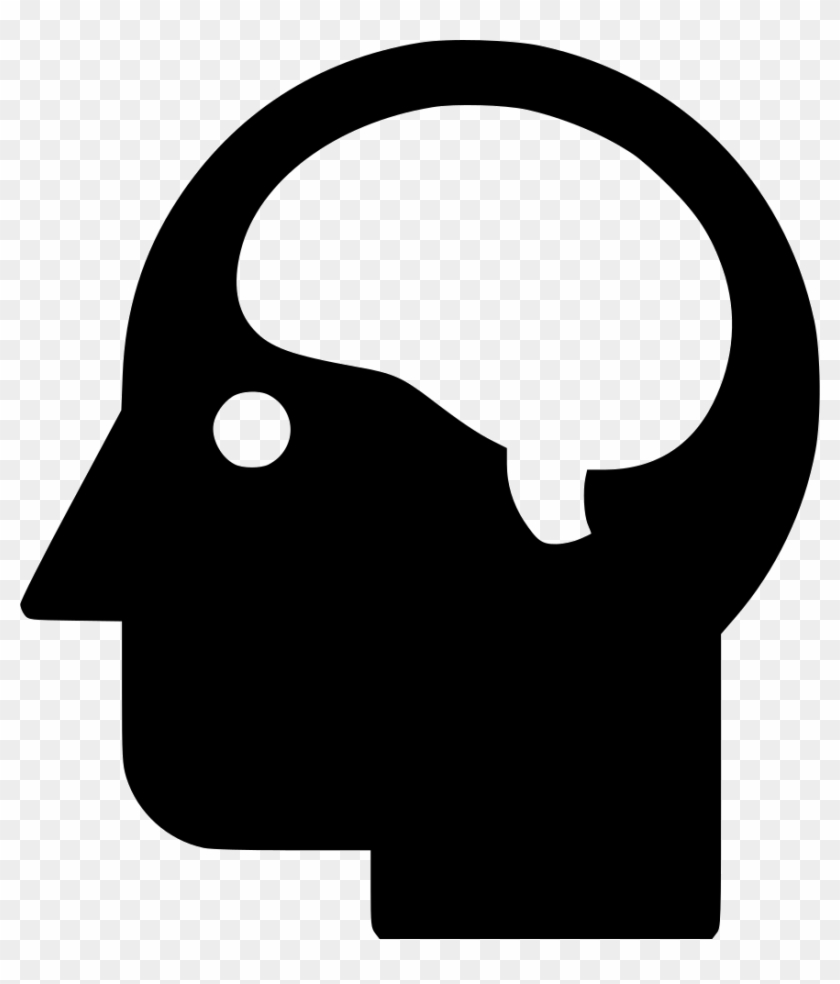 Brain Nervous System Mind Head Anatomy Comments - Icon - Full Size PNG ...