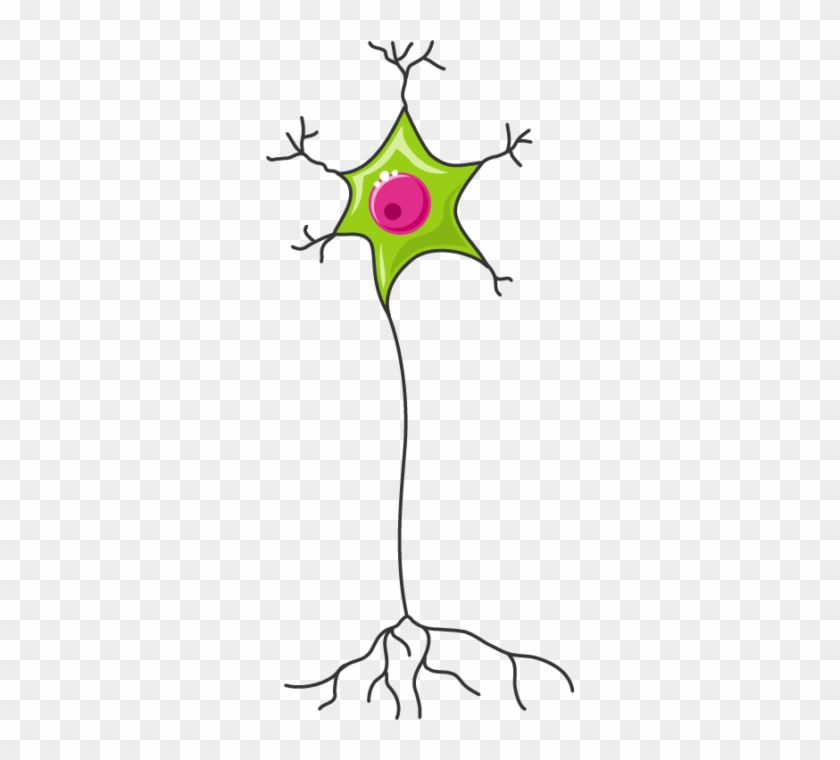Neuron - Neuron - Full Size PNG Clipart Images Download