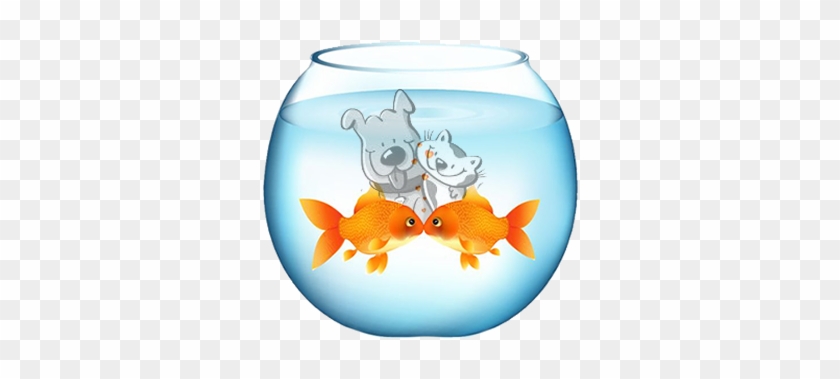 Goldfish Bowl Png Clipart - Free Transparent PNG Clipart Images Download