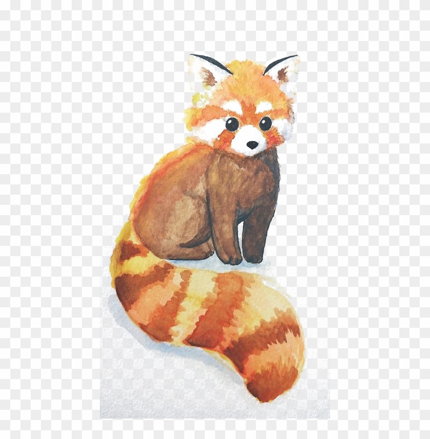 Red Panda The Giant Panda Bear Drawing - Red Panda The Giant Panda Bear ...