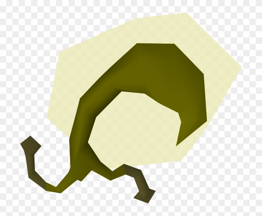 Thin Snail Meat Detail - Wiki - Full Size PNG Clipart Images Download