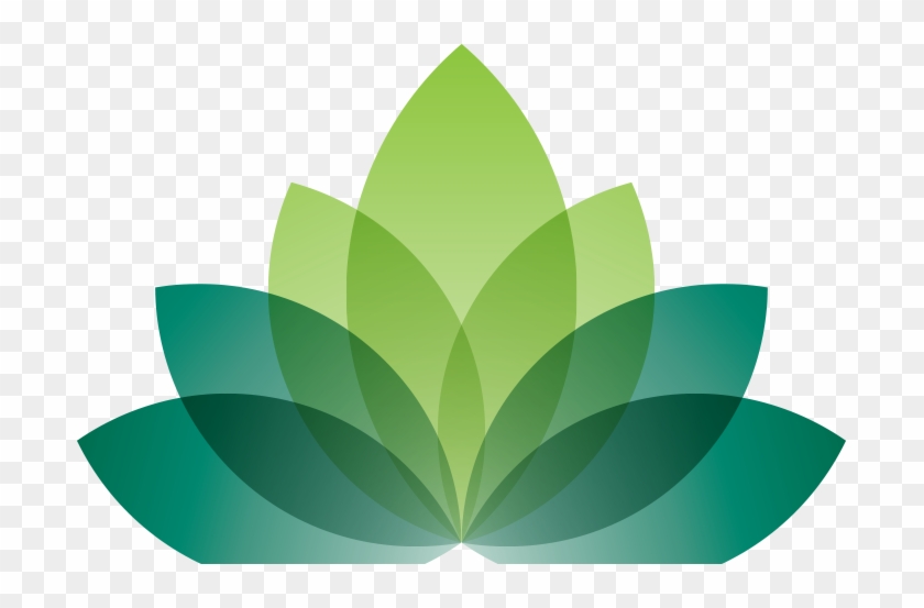 Img Transition Group Element Img Transition Group Element - Transition ...