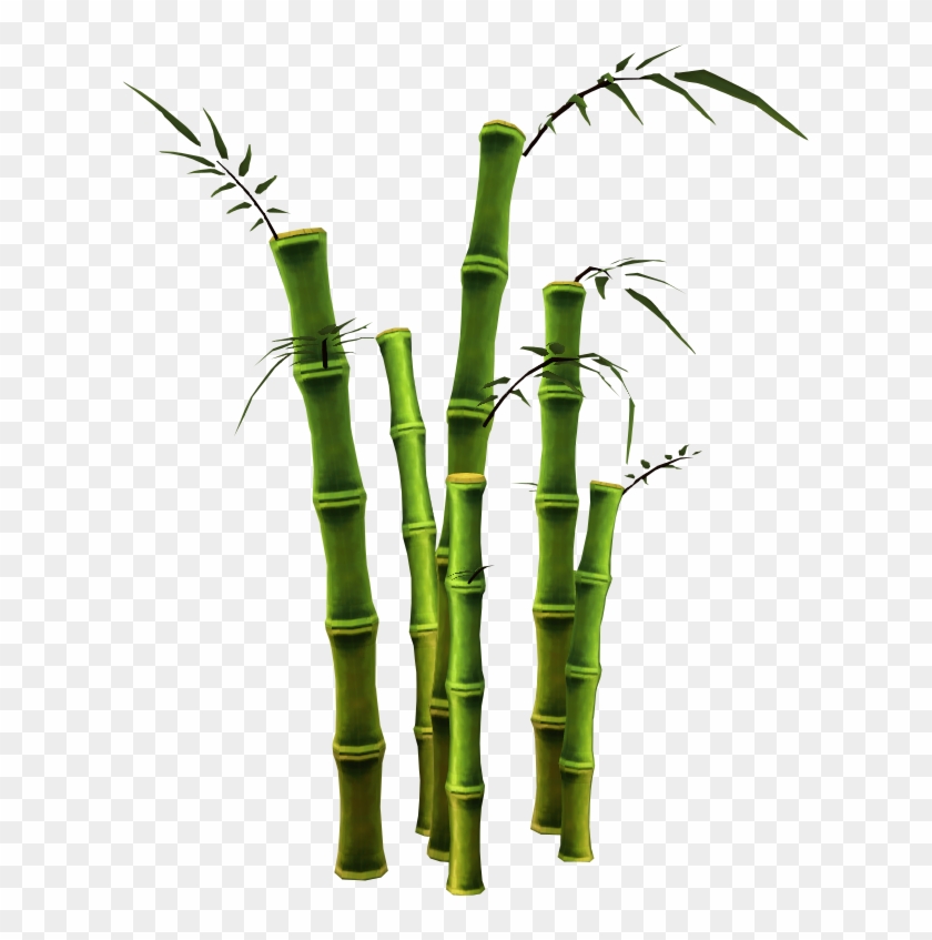 Bamboo Png - Free Transparent PNG Clipart Images Download